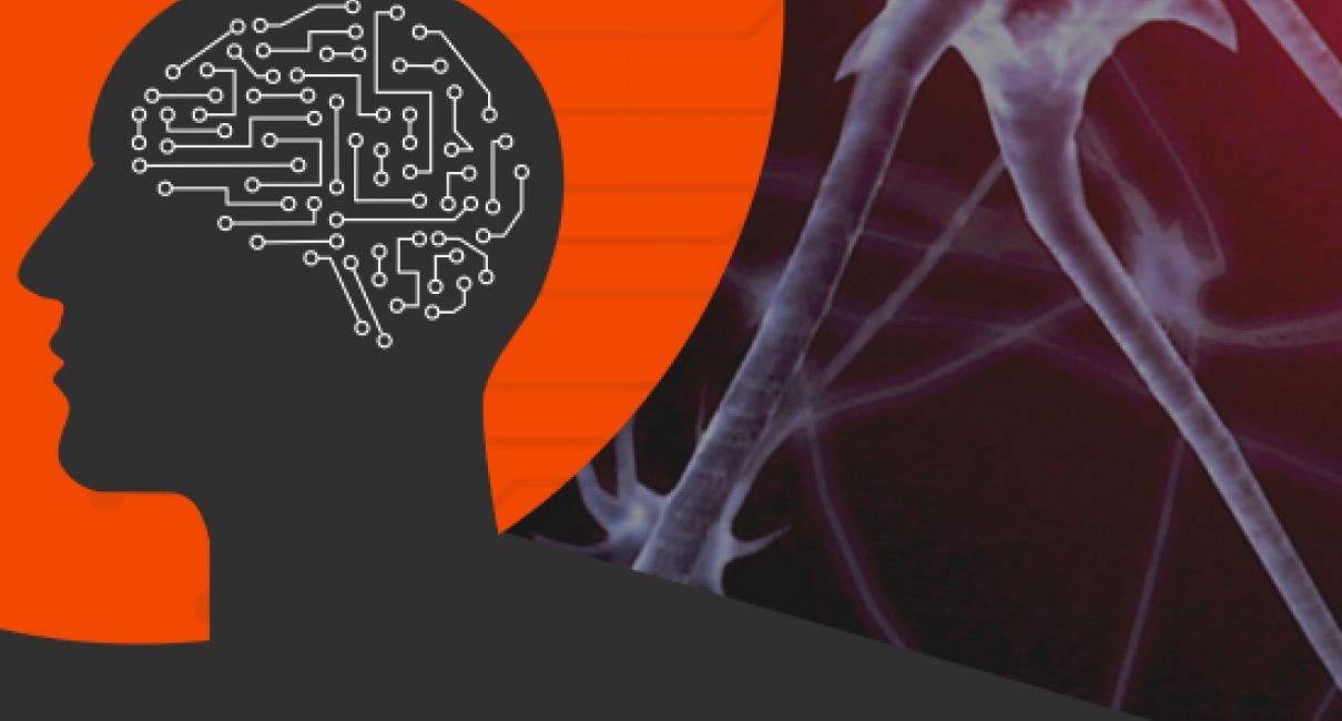 SAGOL'S FIRST ALUMNI MEETING | Sagol School of Neuroscience | Tel Aviv ...